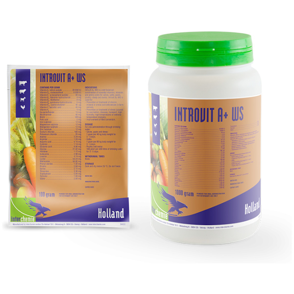 Introvit A+ WS - OUAGADOUGOU.ONLINE