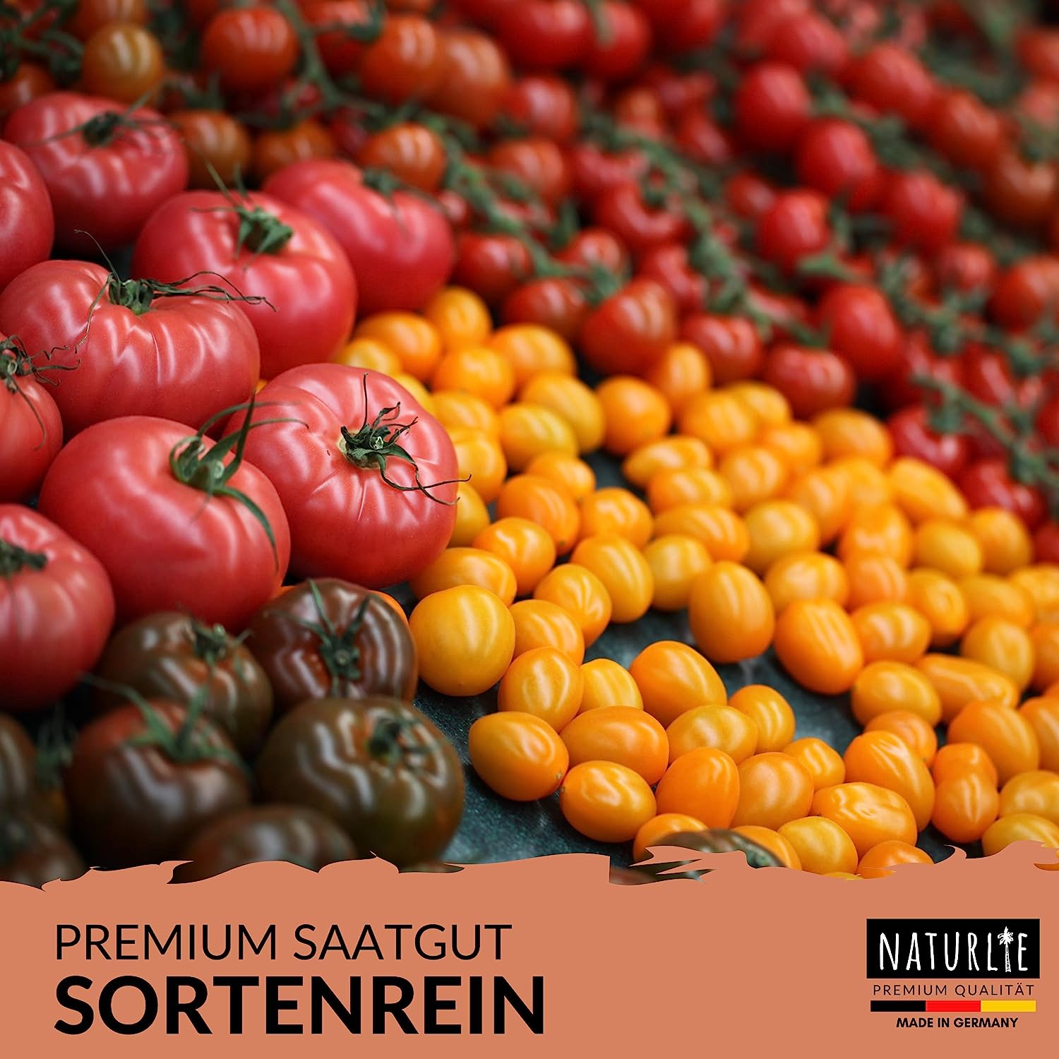 Semence / 20 variétés de graines de tomates - OUAGADOUGOU.ONLINE