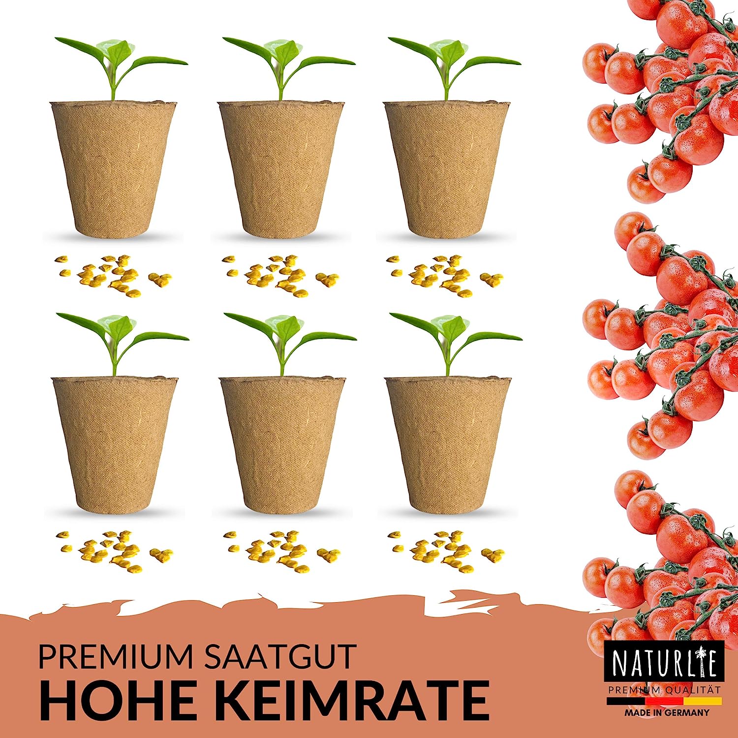 Semence / 20 variétés de graines de tomates - OUAGADOUGOU.ONLINE