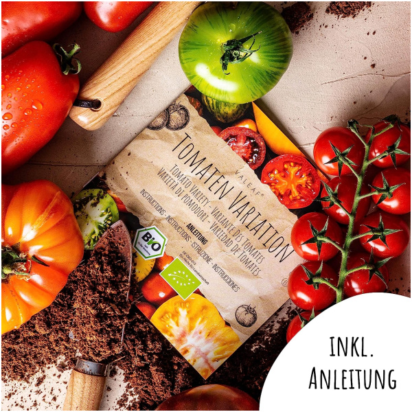 Semence - 14 variétés de graines de tomates - OUAGADOUGOU.ONLINE