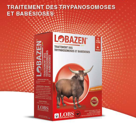 LOBAZEN 23,6g - OUAGADOUGOU.ONLINE