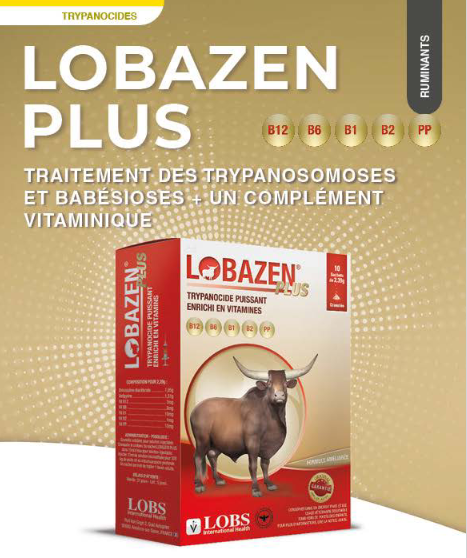 LOBAZEN 23,6g - OUAGADOUGOU.ONLINE