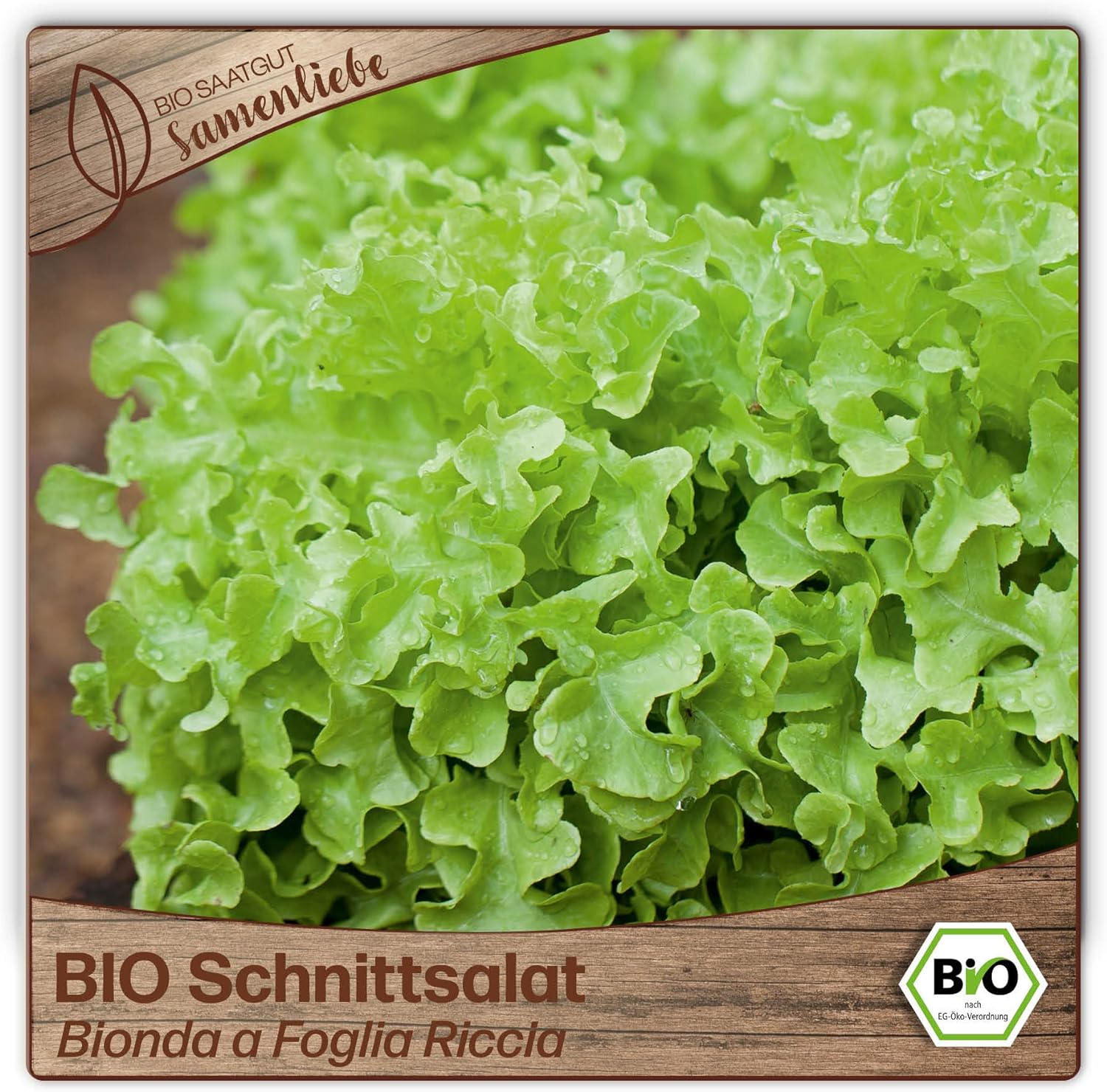 Semences de salades - OUAGADOUGOU.ONLINE